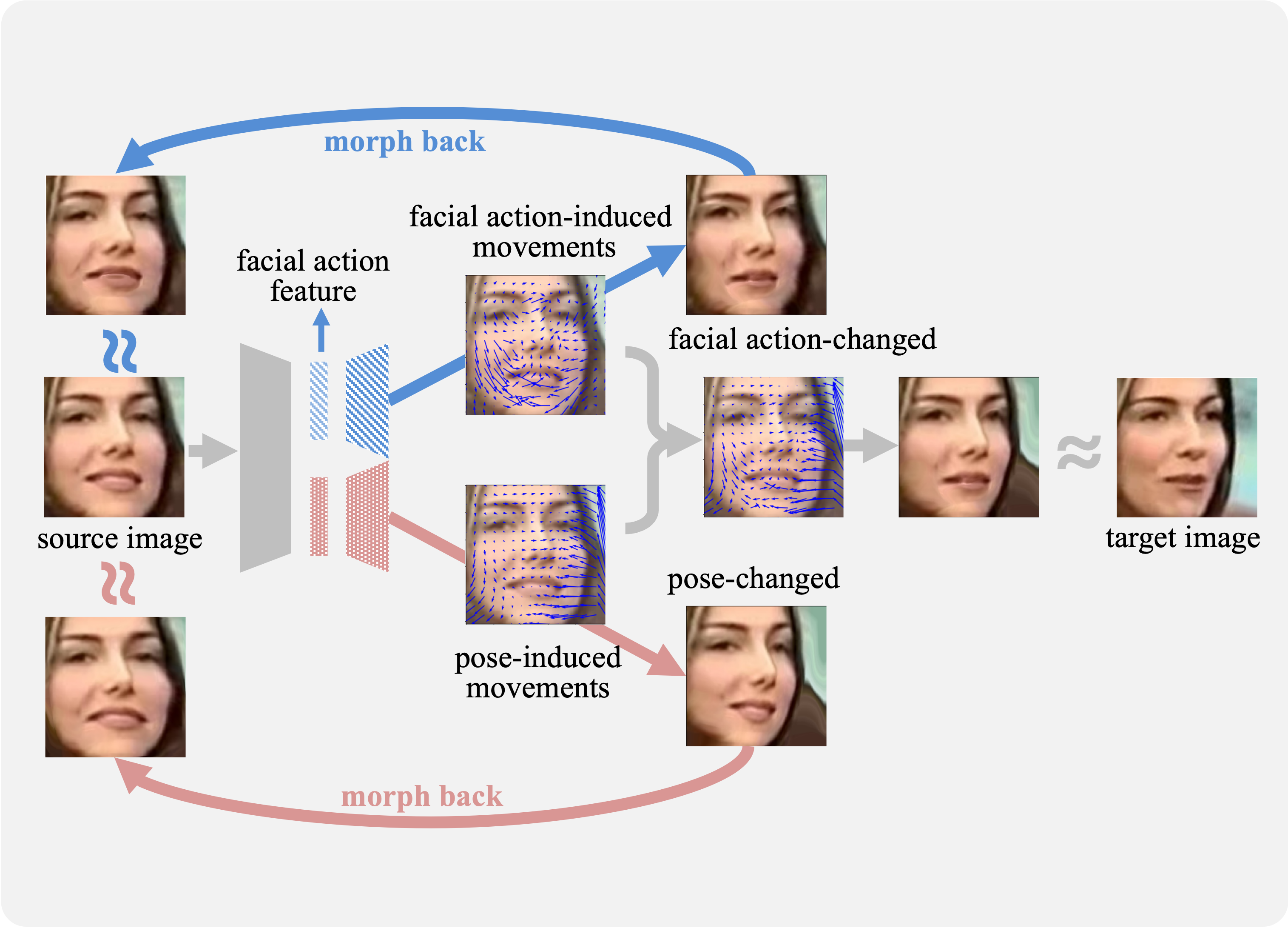 Twin-Cycle Auto-Encoder | JIABEI ZENG