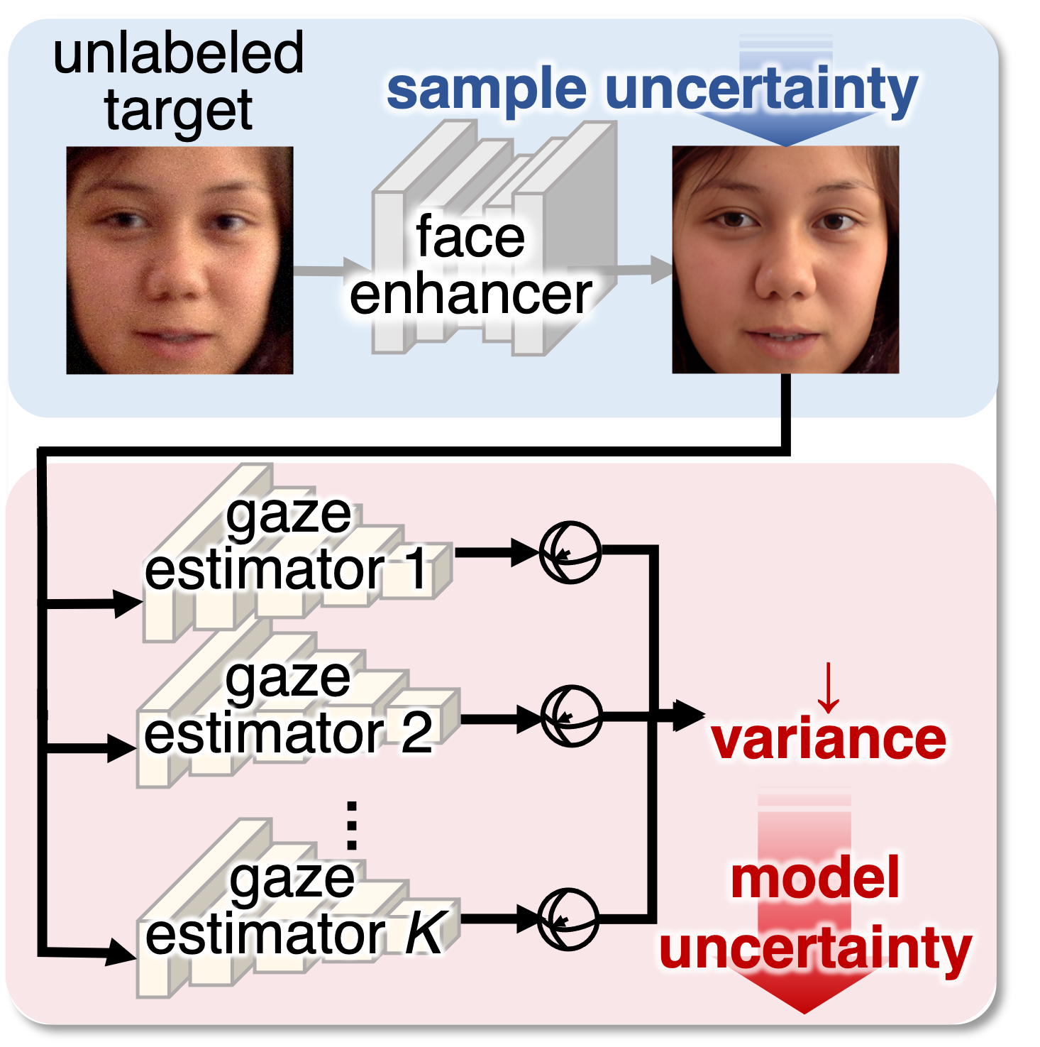 Source-Free Adaptive Gaze Estimation by Uncertainty Reduction | JIABEI ZENG